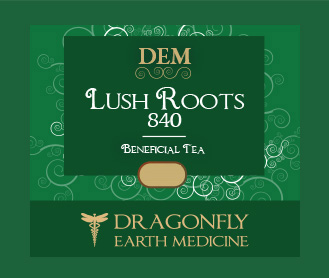 Dragonfly Earth Medicine